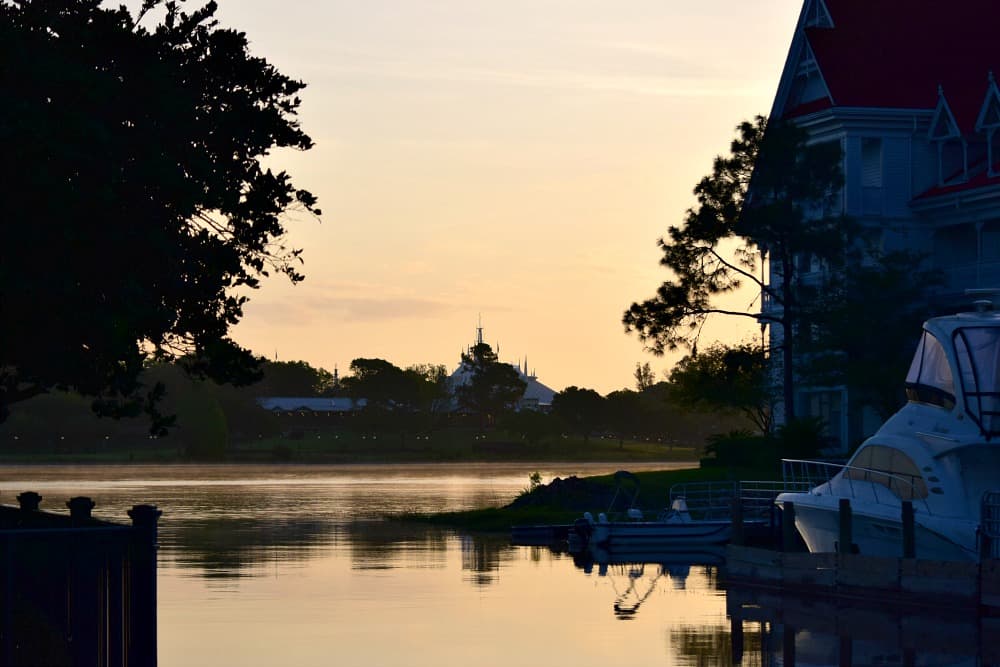 Walt Disney World Gator Attack: Why I'll Still Continue to Visit - Sand ...