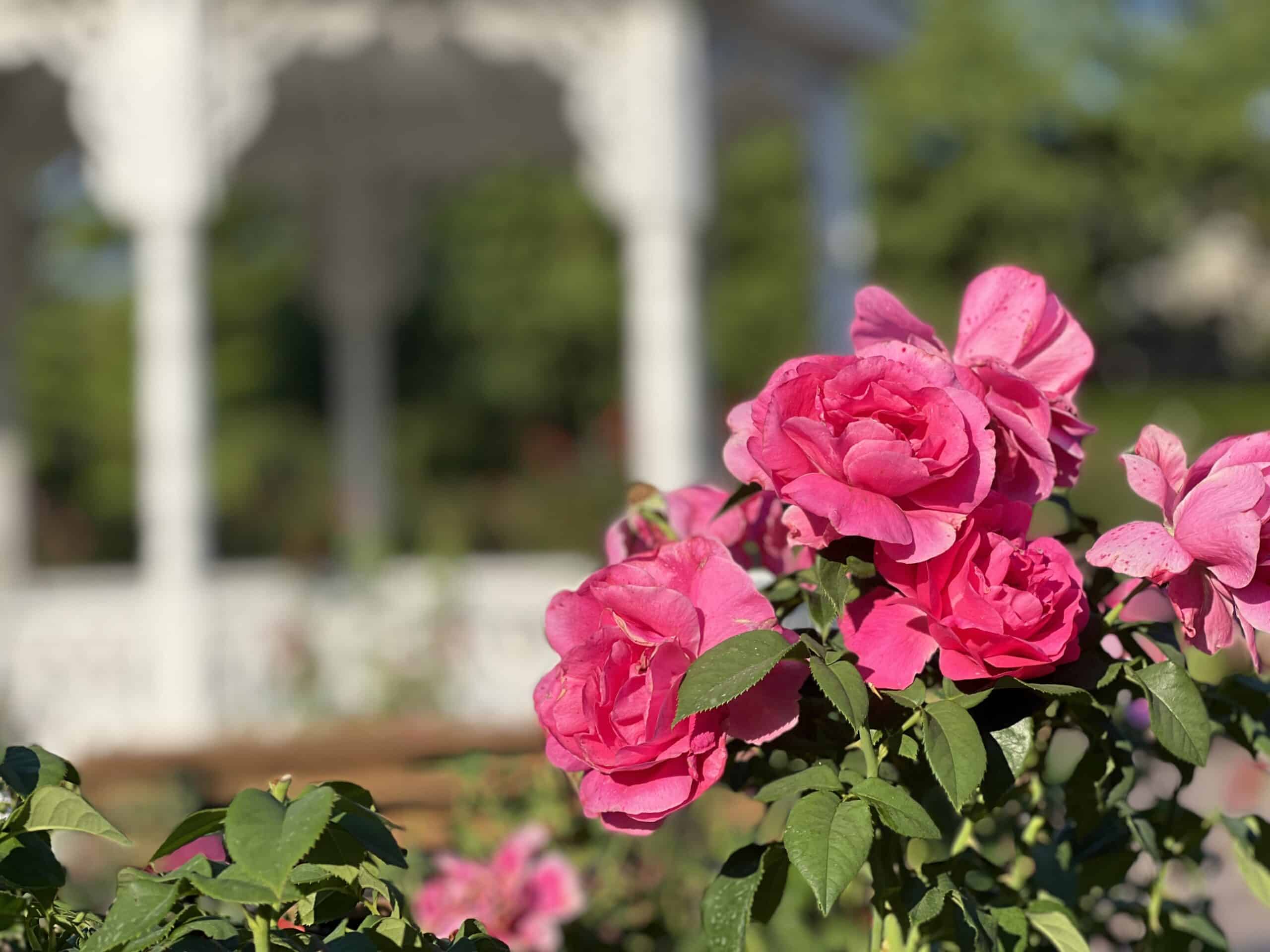 14 Things to Do in Richmond Indiana Right Now - Sand and Snow