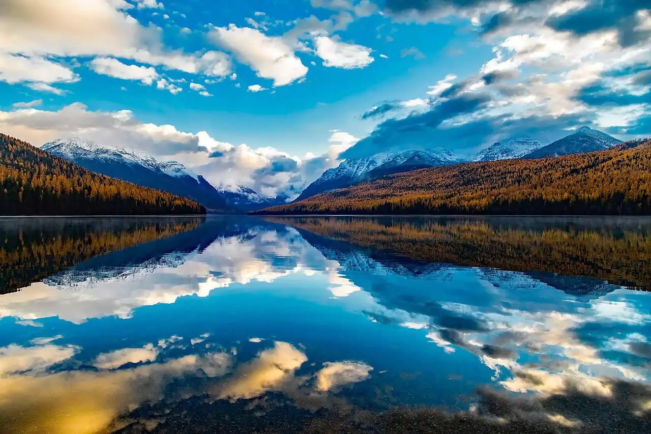 7 Amazing Xanterra National Park Lodging Black Friday Deals to Know ...