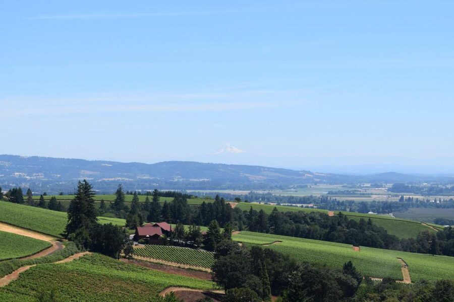 3 Big Reasons Why You Should Visit Oregon Wine Country This Summer ...