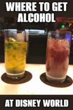 A Guide to Liquor in the Most Magical Place on Earth: Places to Get ...