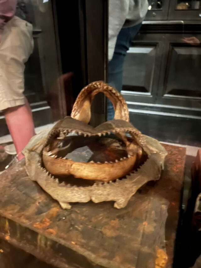 25 Universal Orlando Wizarding World of Harry Potter Easter Eggs You ...